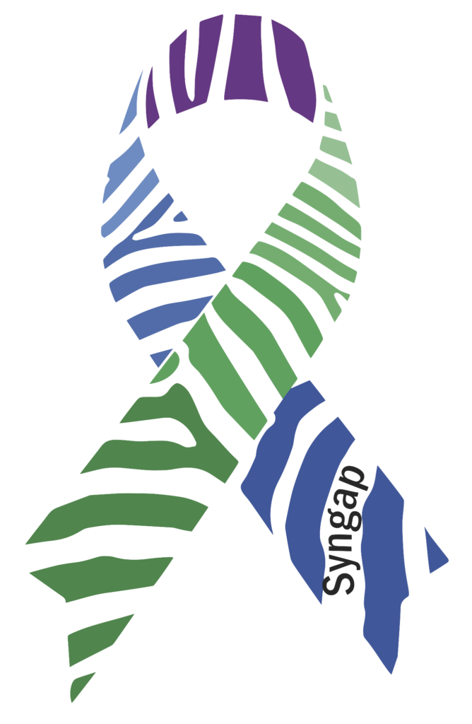 Syngap1 Ribbon - Syngap Global Network