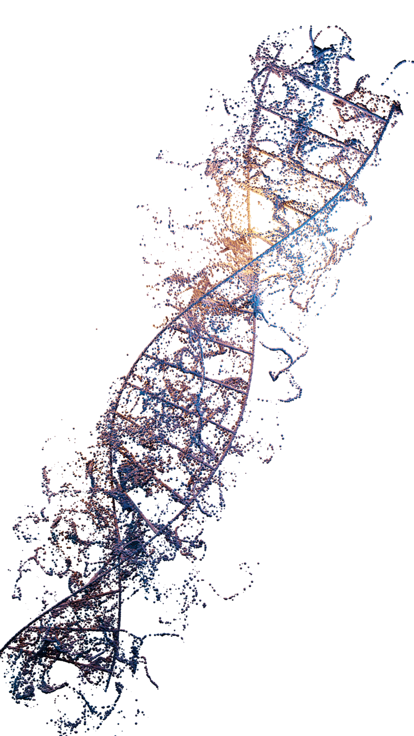 DNA-Decoder - Syngap Global Network