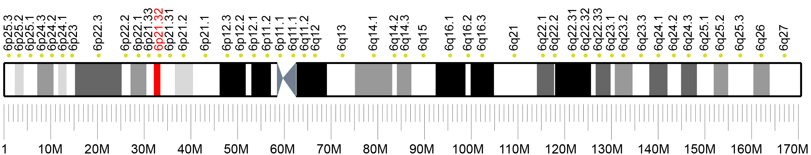 DNA-Decoder - Syngap Global Network