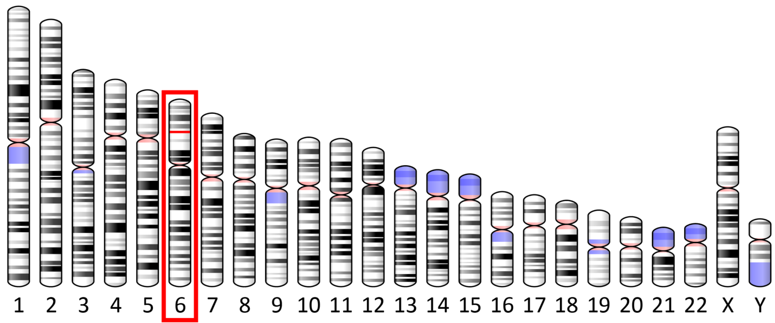 DNA-Decoder - Syngap Global Network