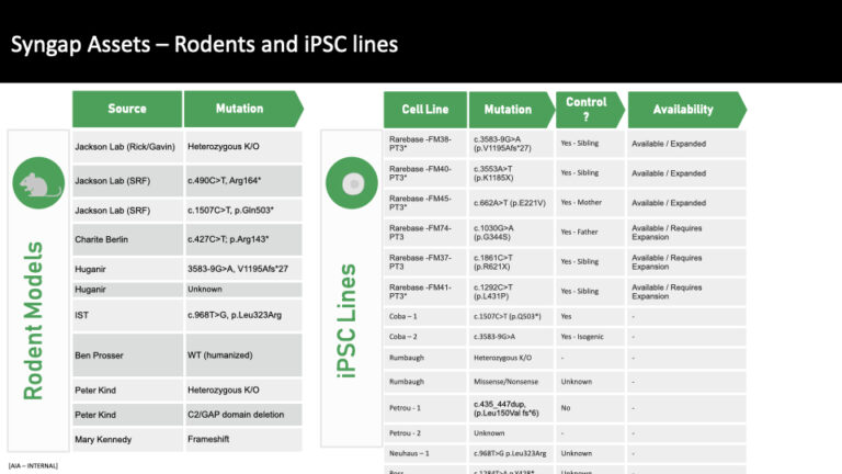 Syngap1 Research Roadmap - Syngap Global Network