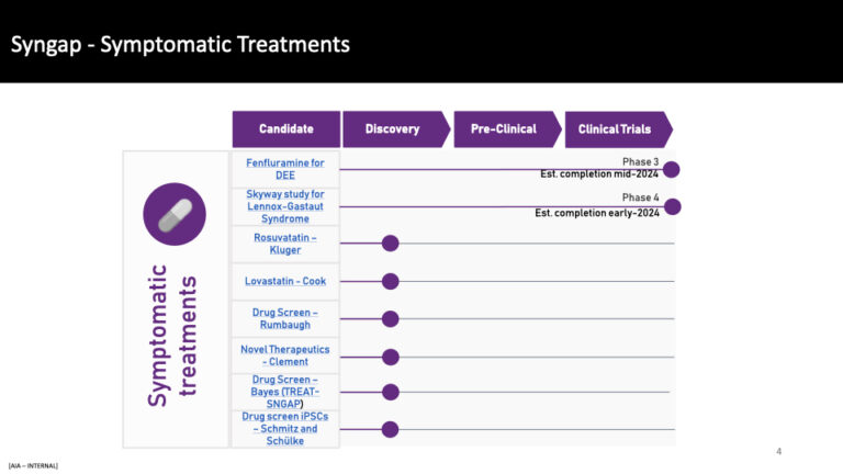 Syngap1 Research Roadmap - Syngap Global Network