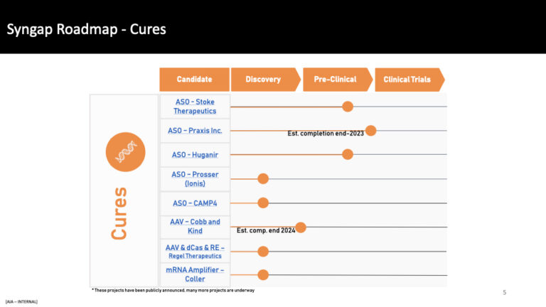 Syngap1 Research Roadmap - Syngap Global Network